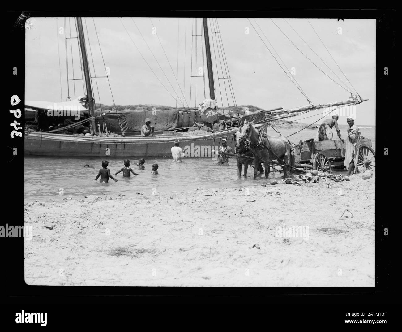 Northern views. Tantoura shipping. Loading sailing vessel with melons ...