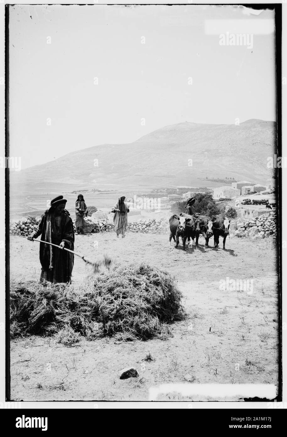 Northern views. Threshing floor at Sychar Stock Photo - Alamy