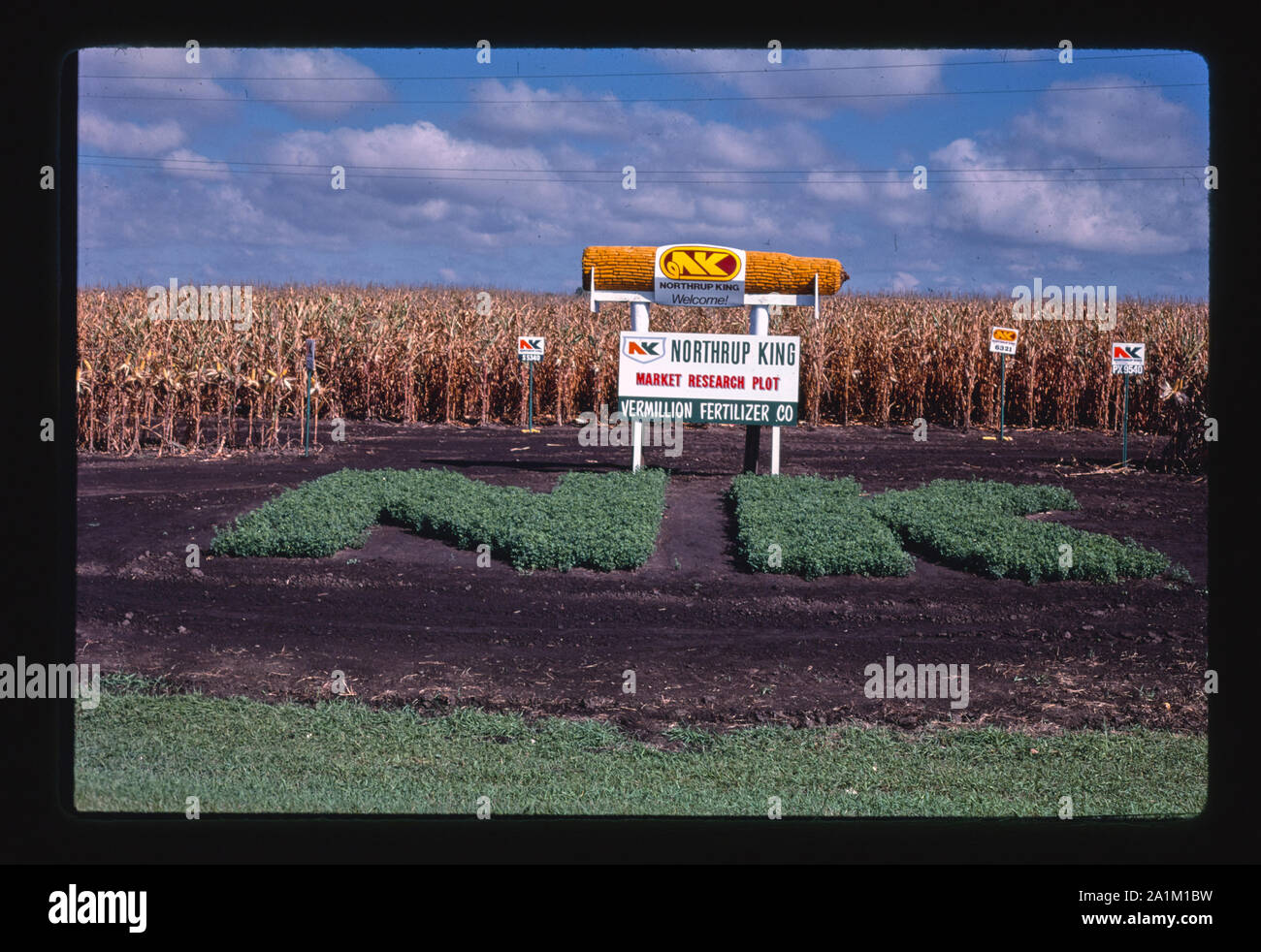 Northrup King Seedling Logo