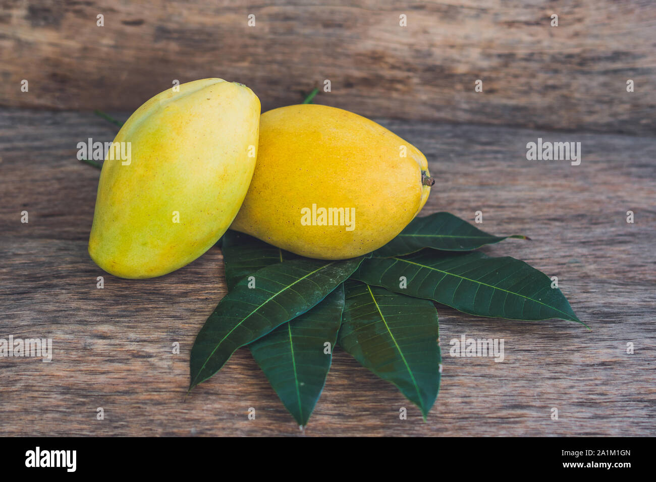 Mango and mango leaves on an old wooden background Stock Photo - Alamy
