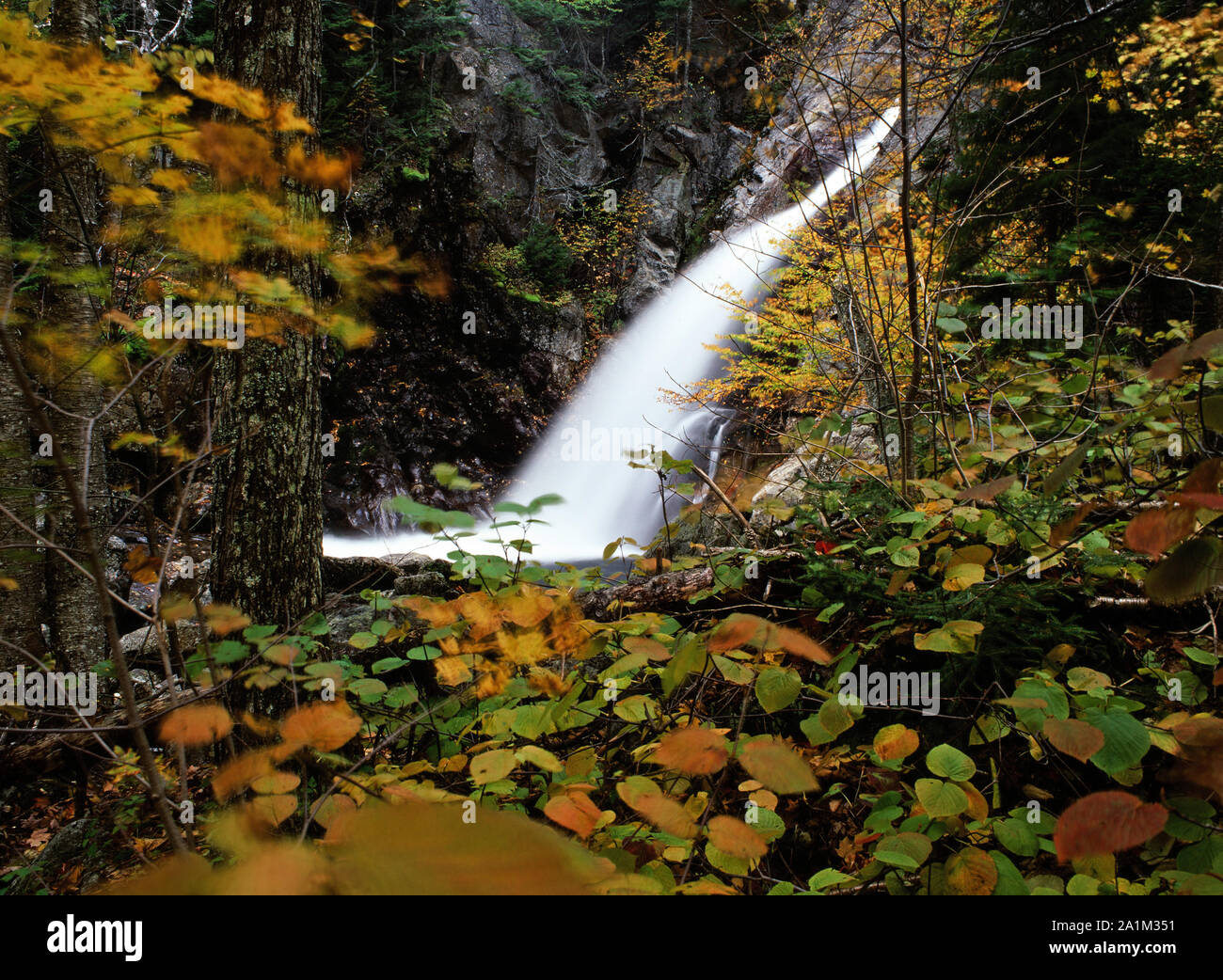 Waterfalls in the woods hi-res stock photography and images - Alamy