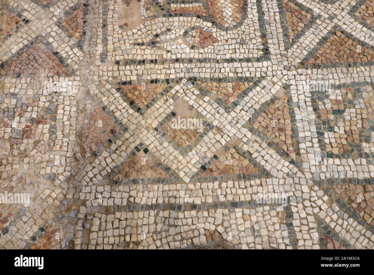 Roman mosaic floor located in archaeological site in The Bishop's ...