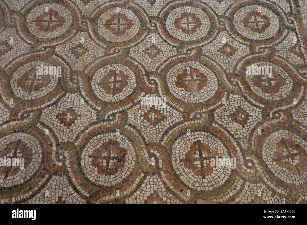 Roman mosaic floor located in archaeological site in The Bishop's ...