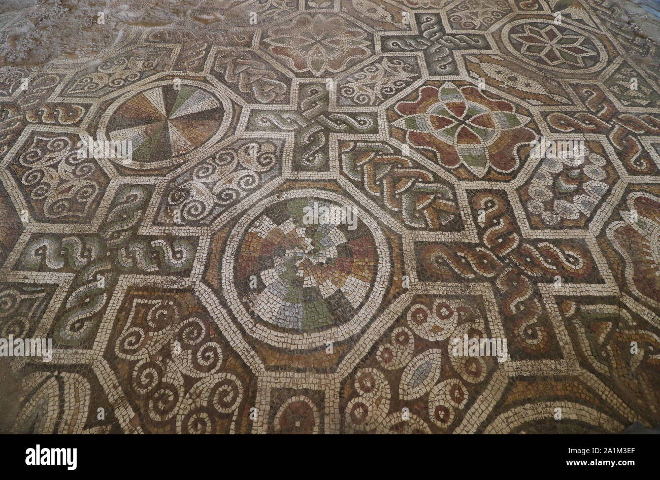 Roman mosaic floor located in archaeological site in The Bishop's ...