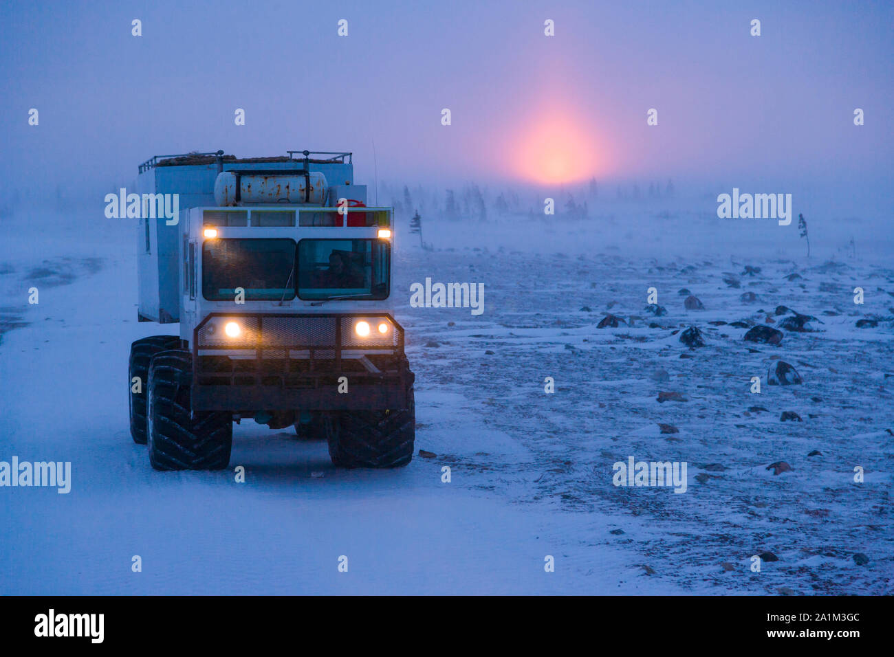 Big white hudson bay hi-res stock photography and images - Alamy