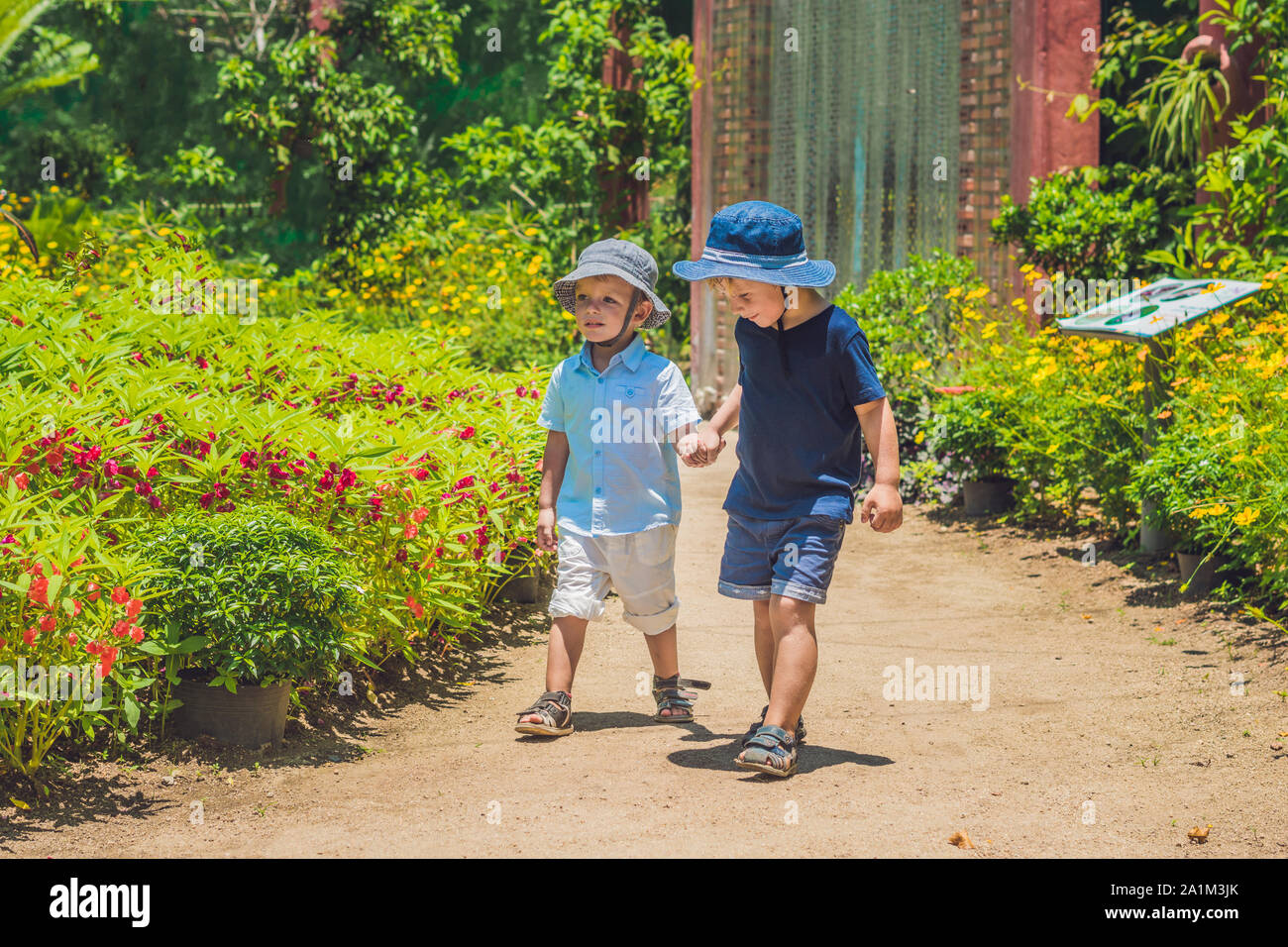 Two happy brothers running together on a park path in a tropical park ...
