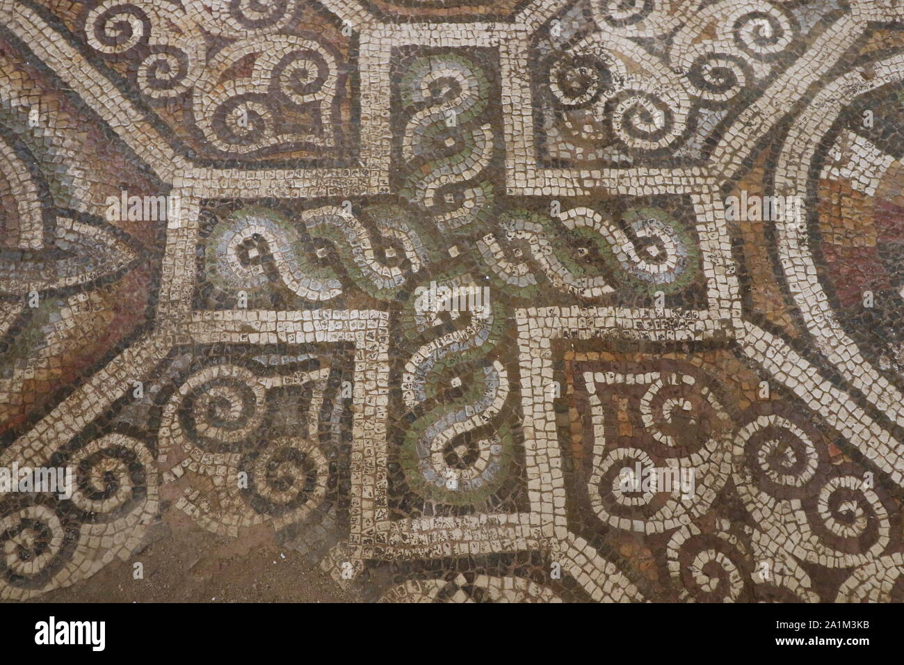 Roman mosaic floor located in archaeological site in The Bishop's ...