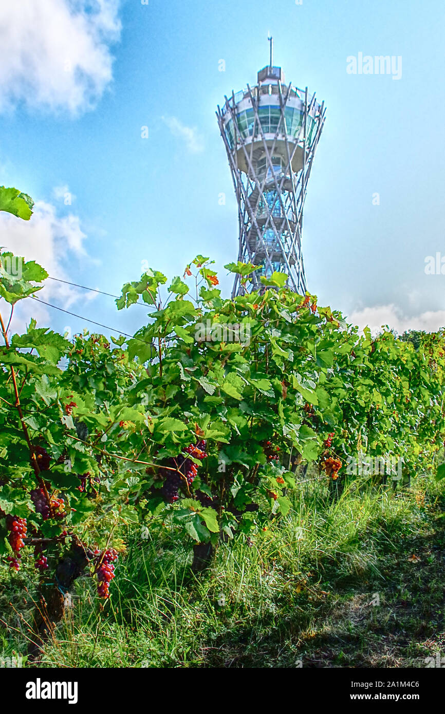 The modern steel tower that rises between the vineyards. A contrast ...