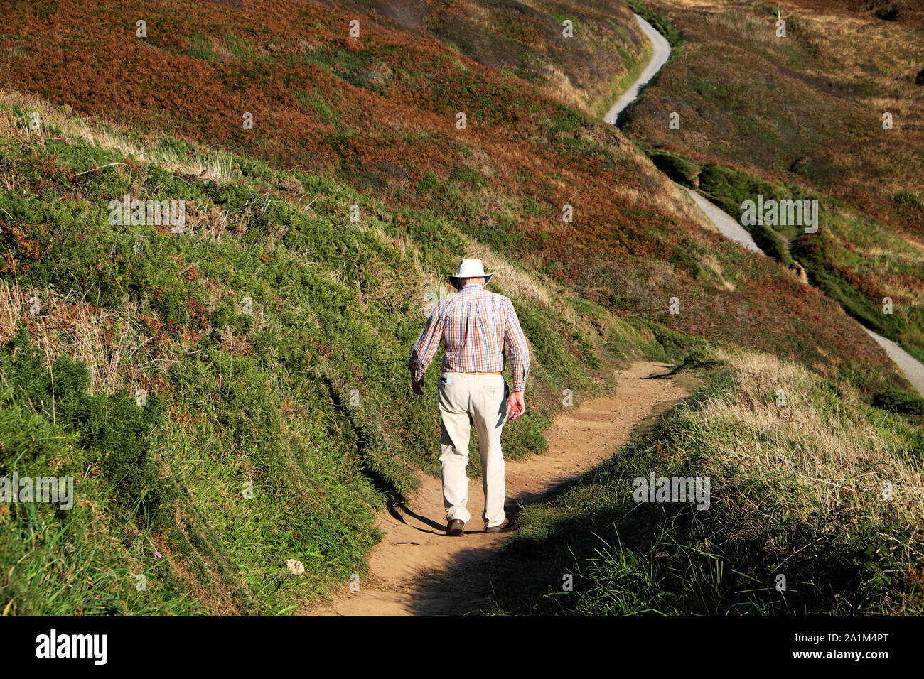 Old man with walker hi-res stock photography and images - Alamy