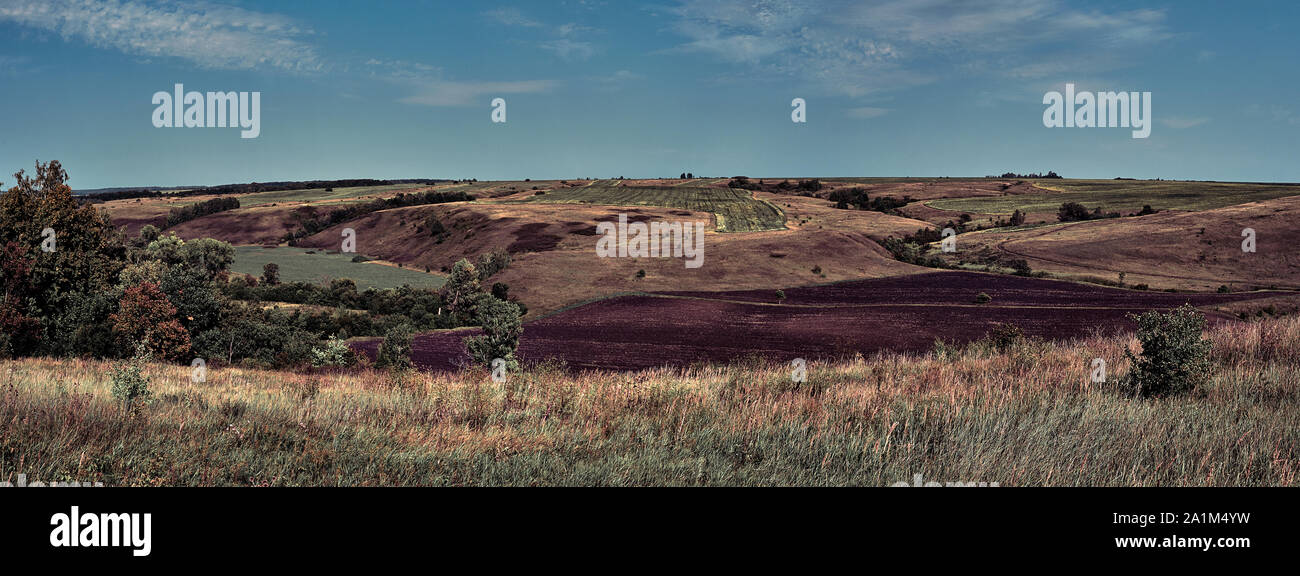 Panoramic landscape of central Russia agricultural countryside with ...