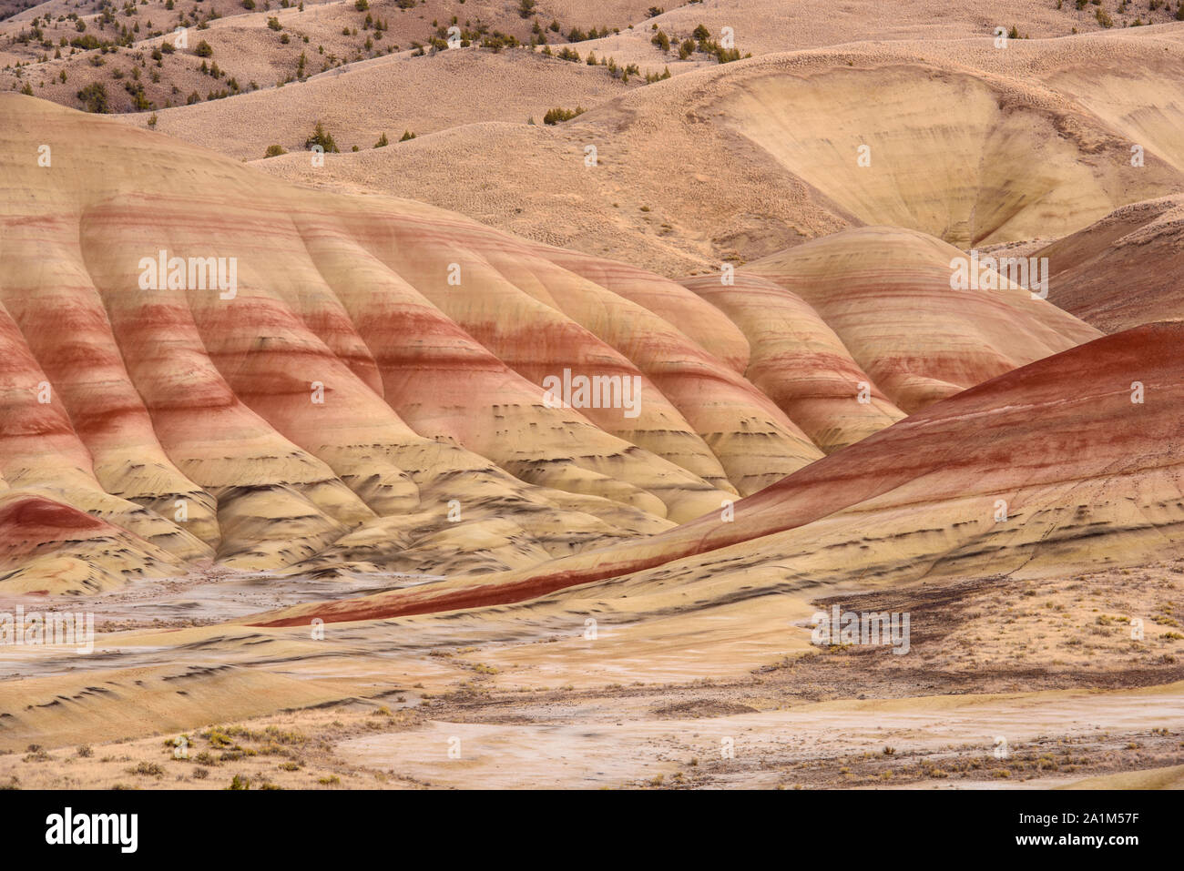 Eroded laterite and mudstone sediments in a sagebrush environment, John ...
