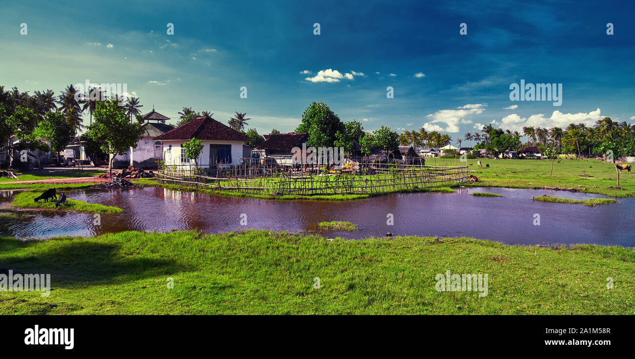 Traditional Balinese farm house near the rice field, rural landscape ...
