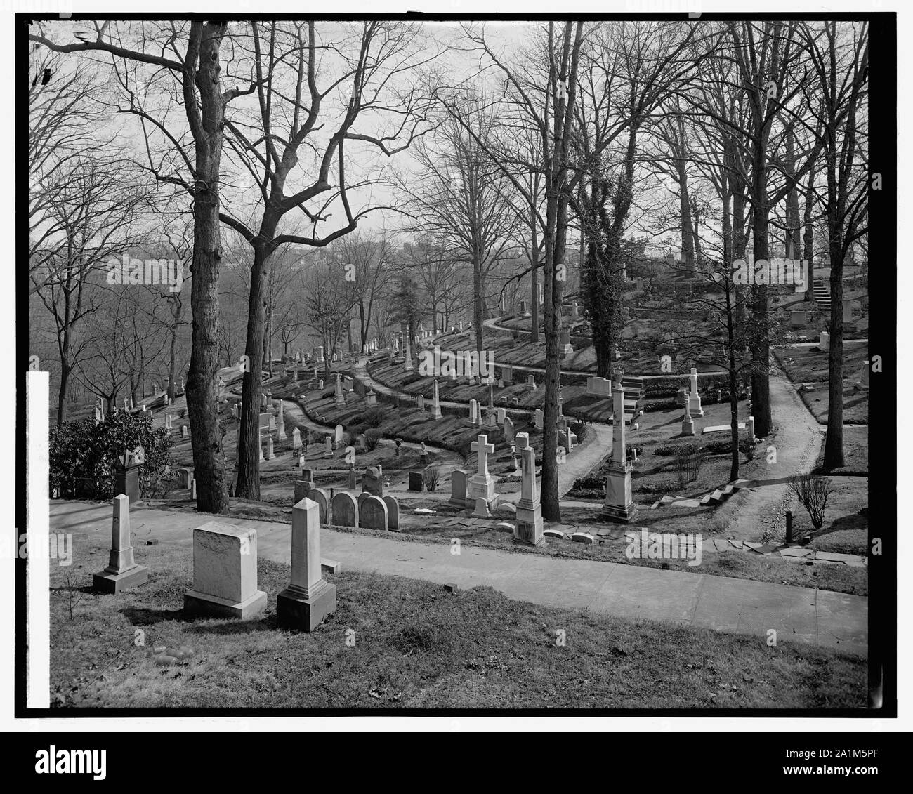 Oak preservation Cut Out Stock Images & Pictures - Alamy