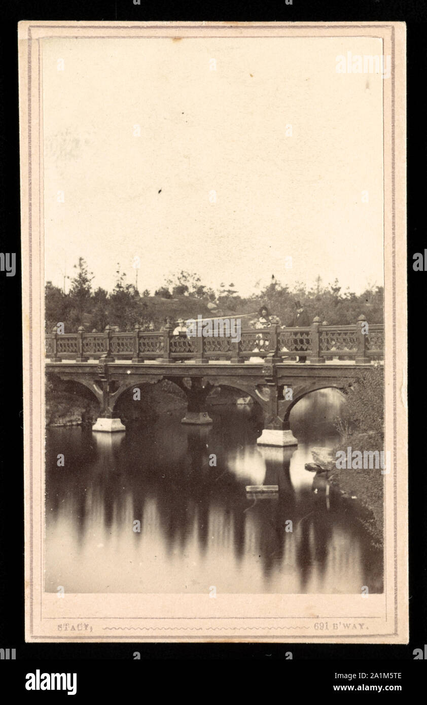 Oak bridge at Bank Rock Bay, Central Park, New York City, N.Y.] / Stacy ...