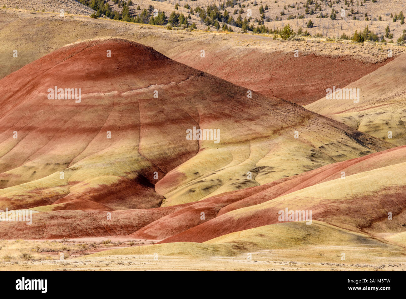 Eroded laterite and mudstone sediments in a sagebrush environment, John ...