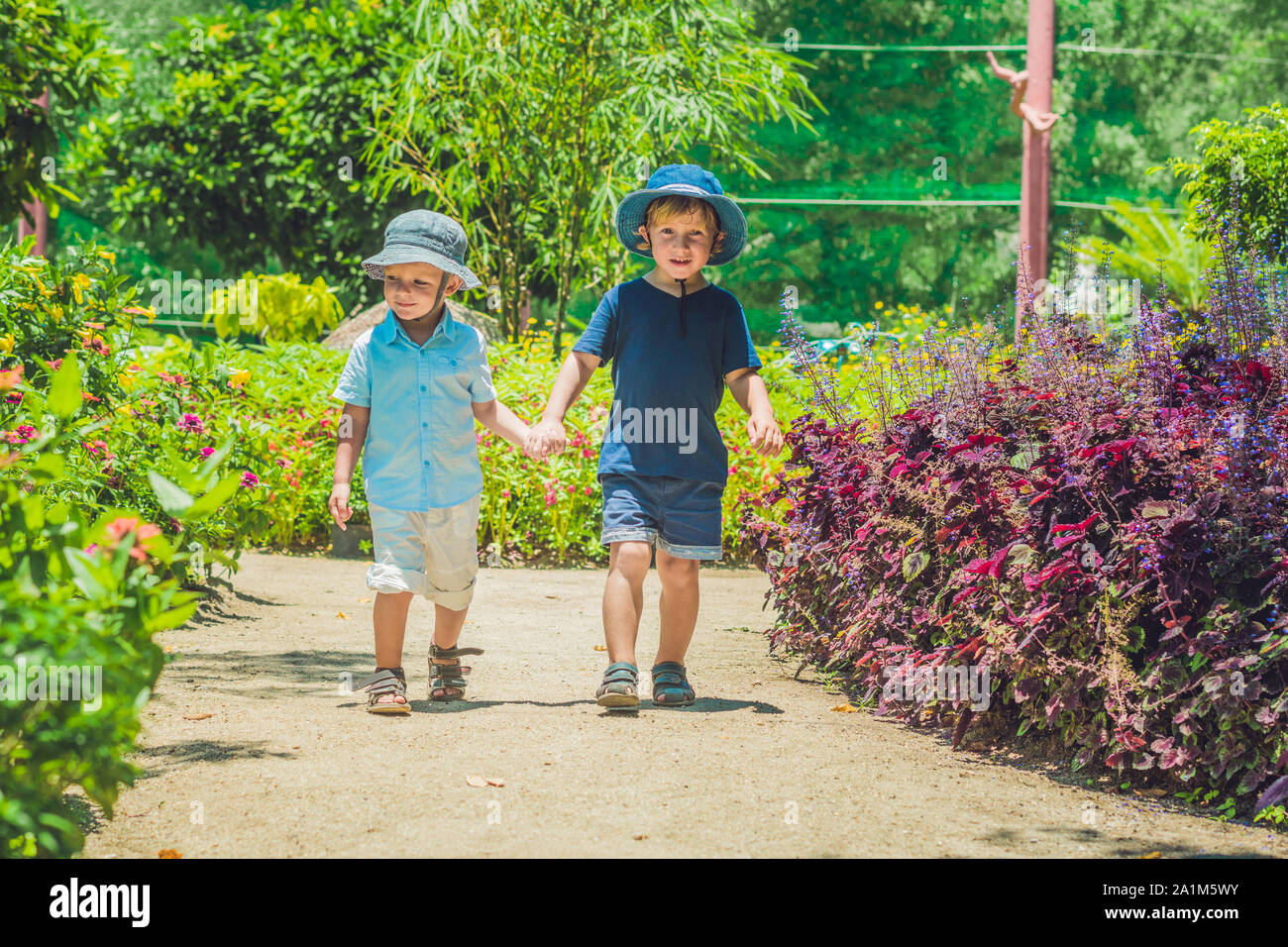 Two happy brothers running together on a park path in a tropical park ...