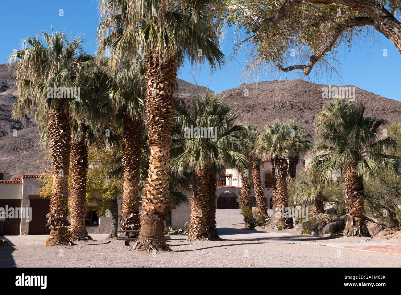 Prohibition era hi-res stock photography and images - Alamy