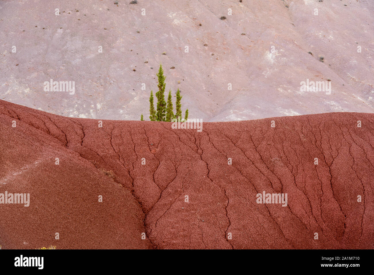 Eroded, exposed laterite sediments at Red Cove, John Day Fossil Beds ...