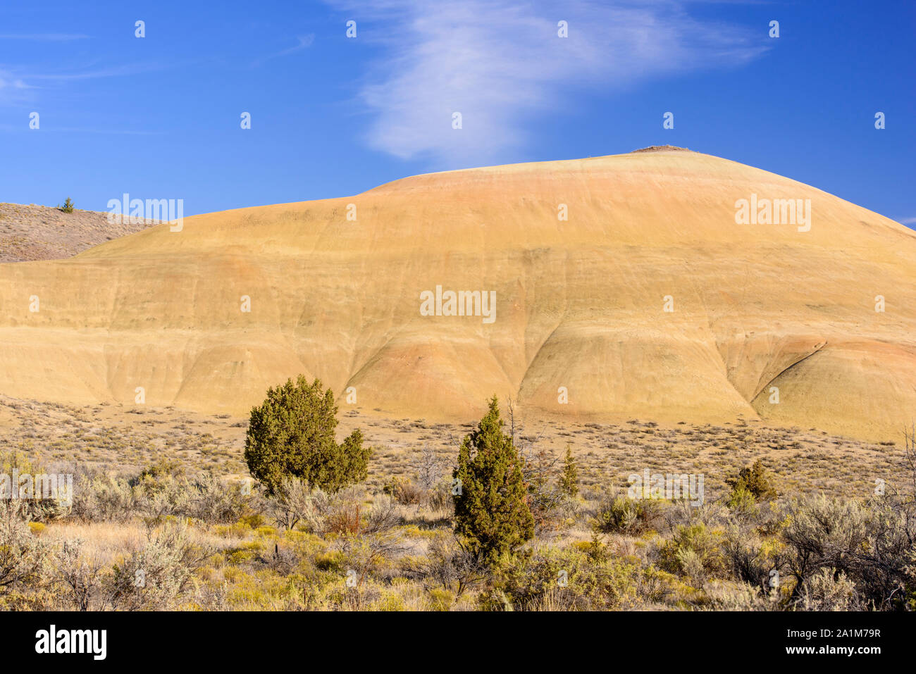 Volcanic hill in sage landscape, John Day Fossil Beds National Monument ...