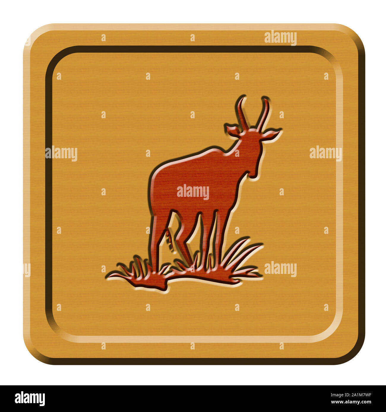 Educational animal icon Cut Out Stock Images & Pictures - Alamy