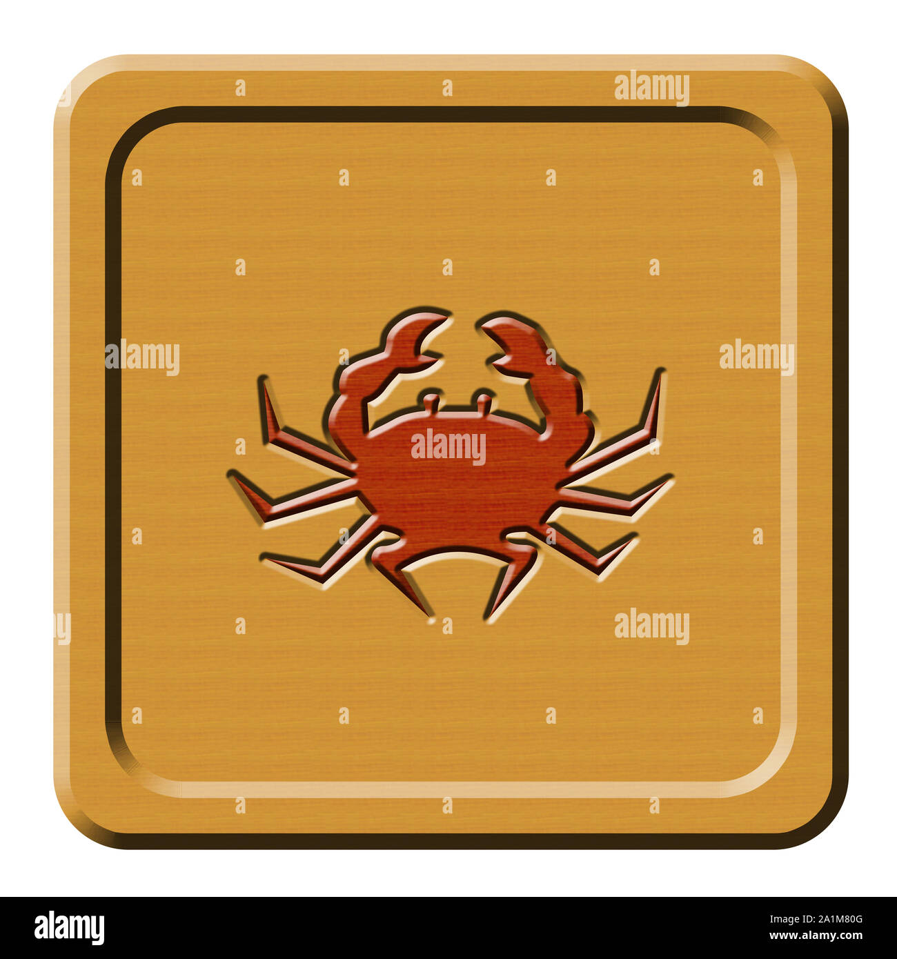 Educational animal illustration Cut Out Stock Images & Pictures - Alamy