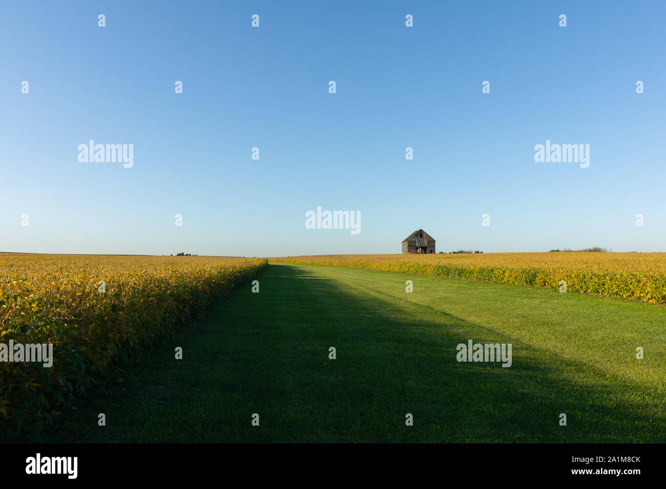 Farm bureau building hi-res stock photography and images - Alamy