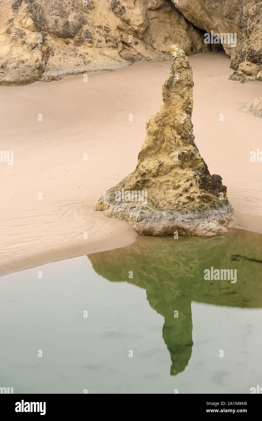 Reflections of summer sea scenery and scenic dawn hi-res stock ...
