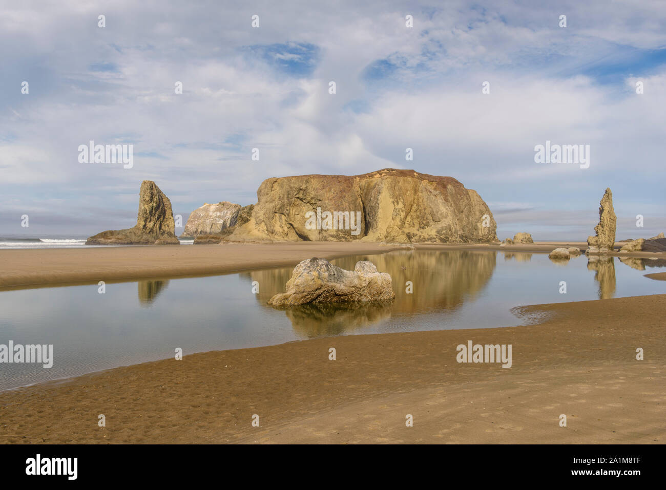Oregon tide pools hi-res stock photography and images - Alamy