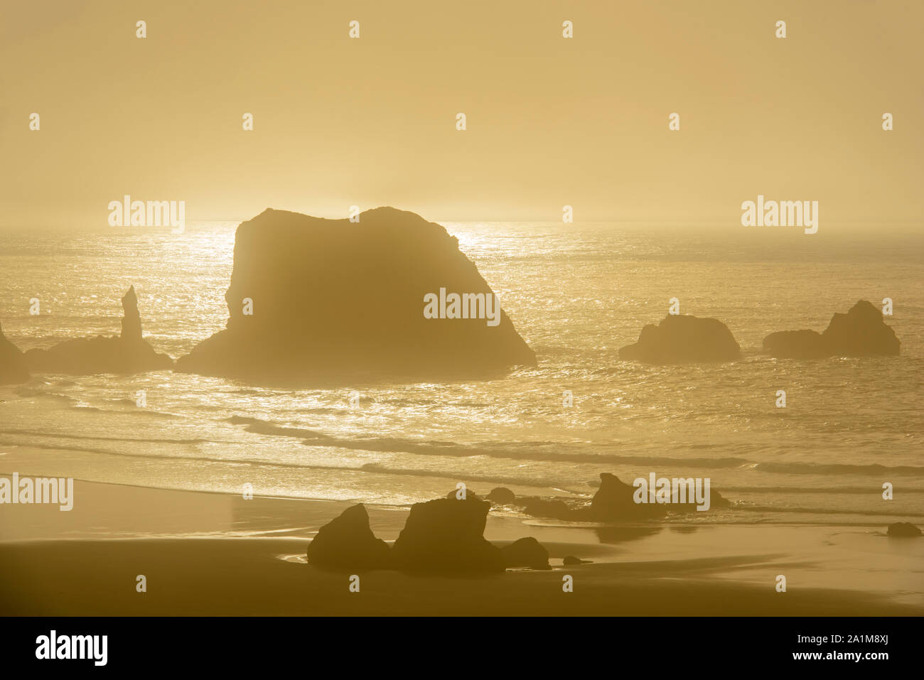 Bandon Beach sea stacks in the late afternoon fog, Bandon, Oregon, USA ...