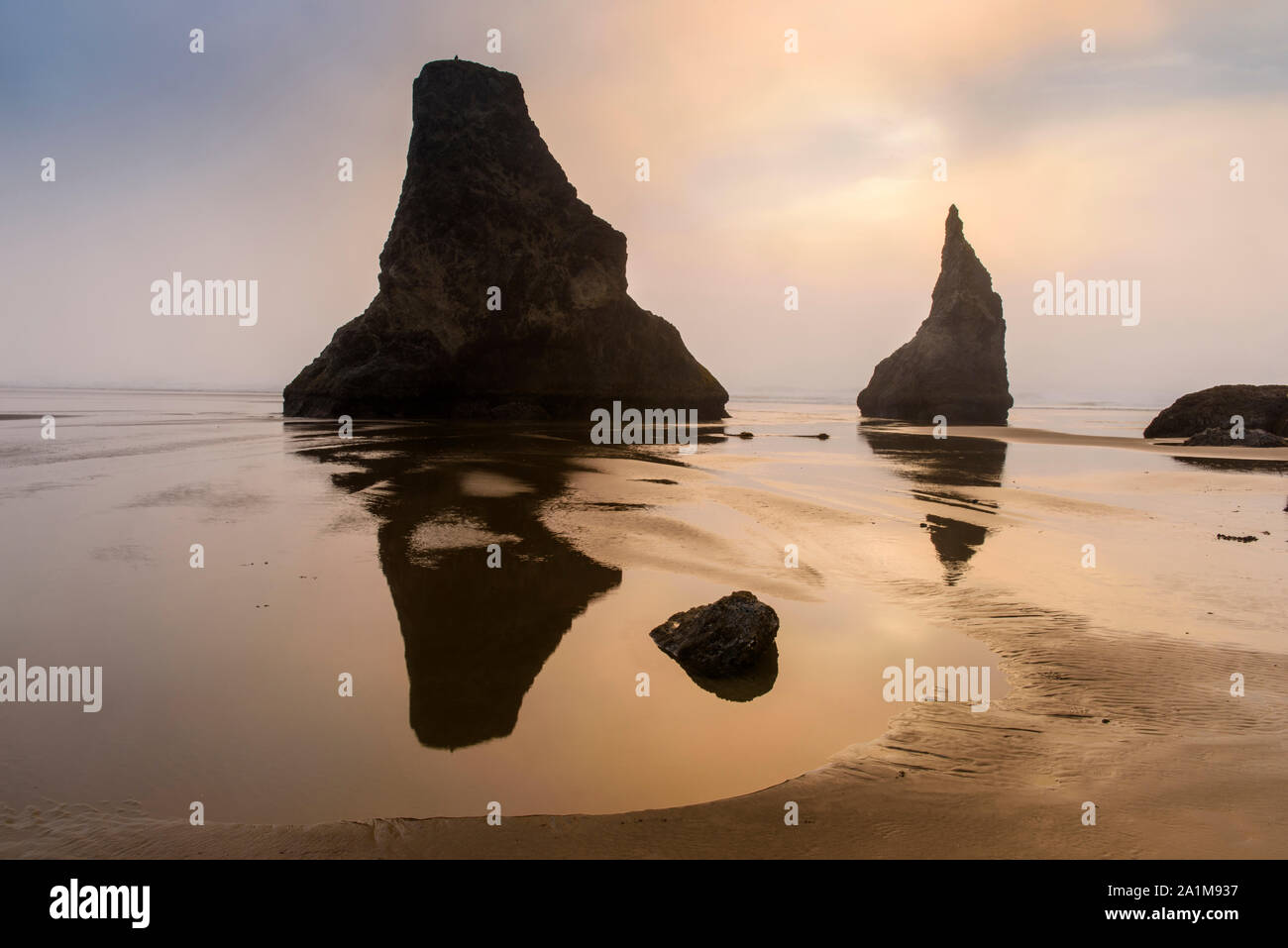 Bandon Beach sea stacks in the late afternoon fog, Bandon, Oregon, USA ...