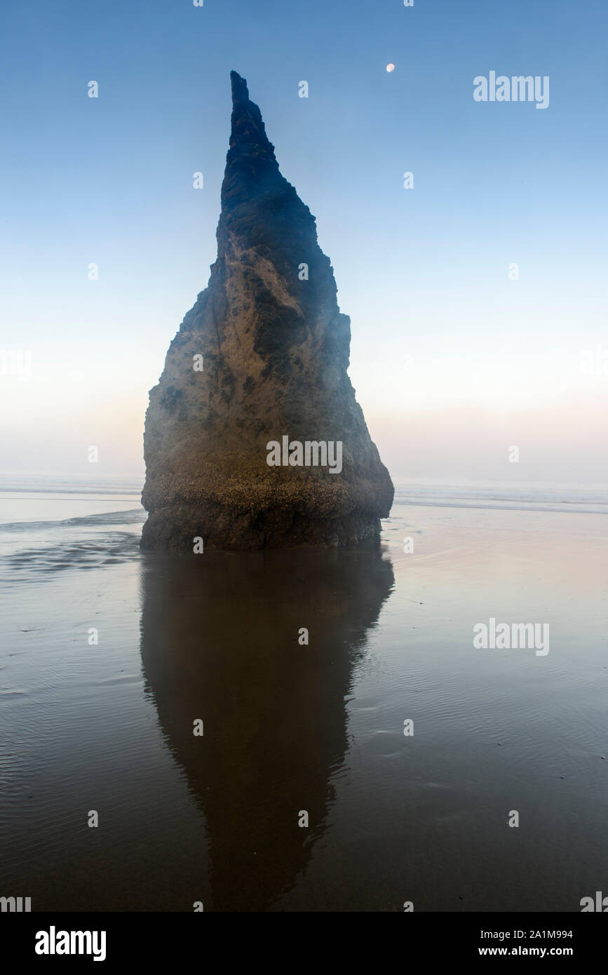 Sea stack rocks on Bandon Beach at low tide at dawn, Bandon, Oregon ...