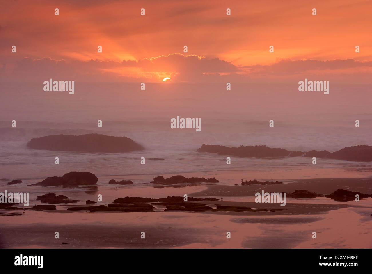 Seal rock state park hi-res stock photography and images - Alamy