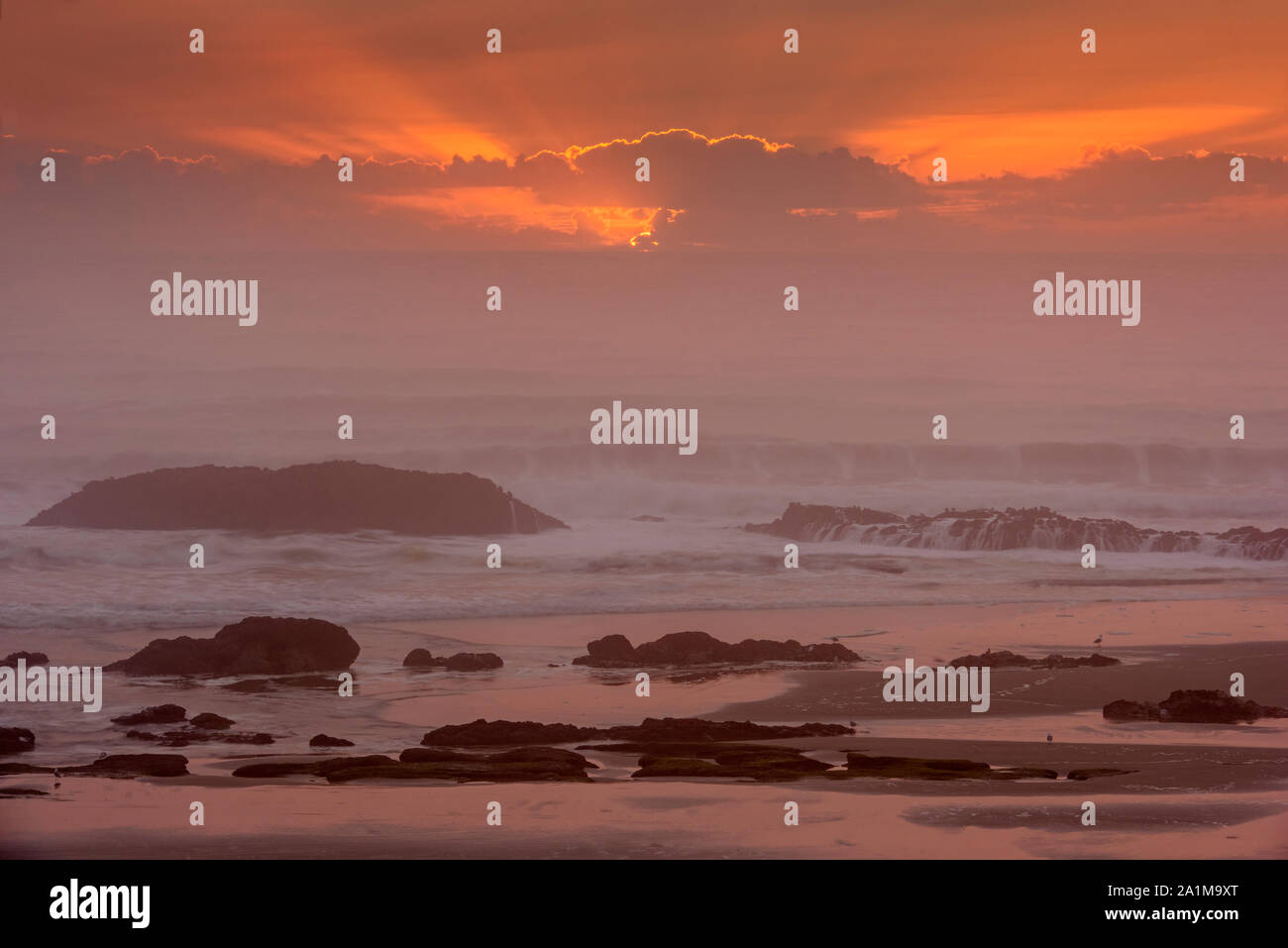 Seal Rocks at sunset, Seal Rock State Park, Oregon, USA Stock Photo - Alamy