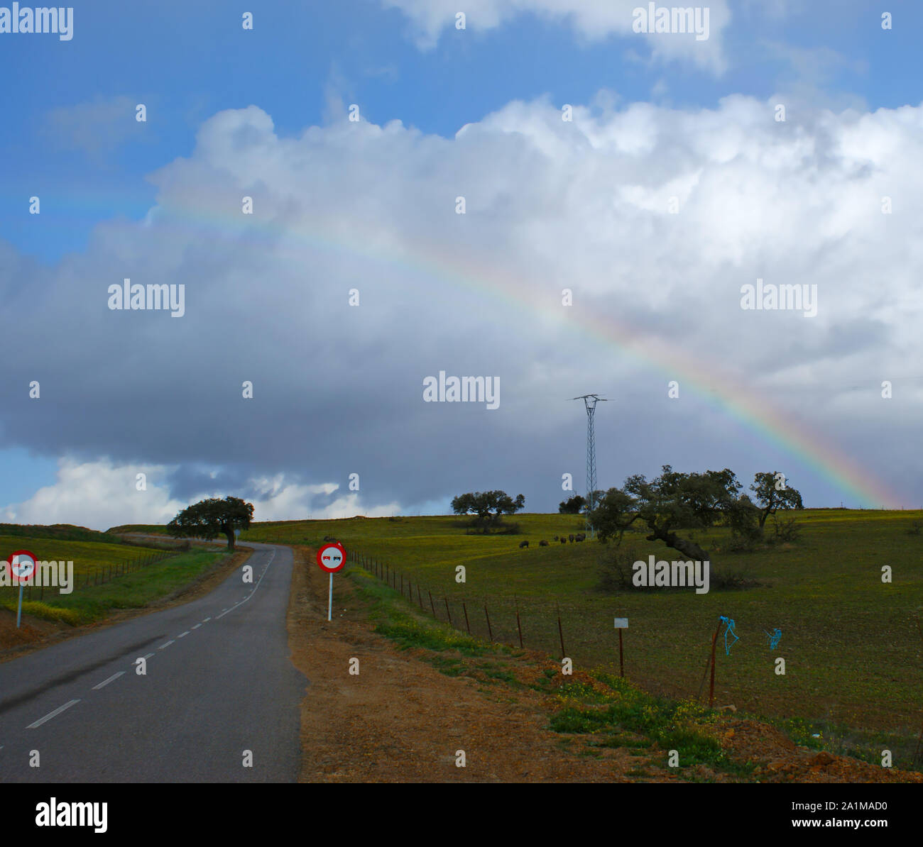 Rainbow over meadow and road Stock Photo - Alamy