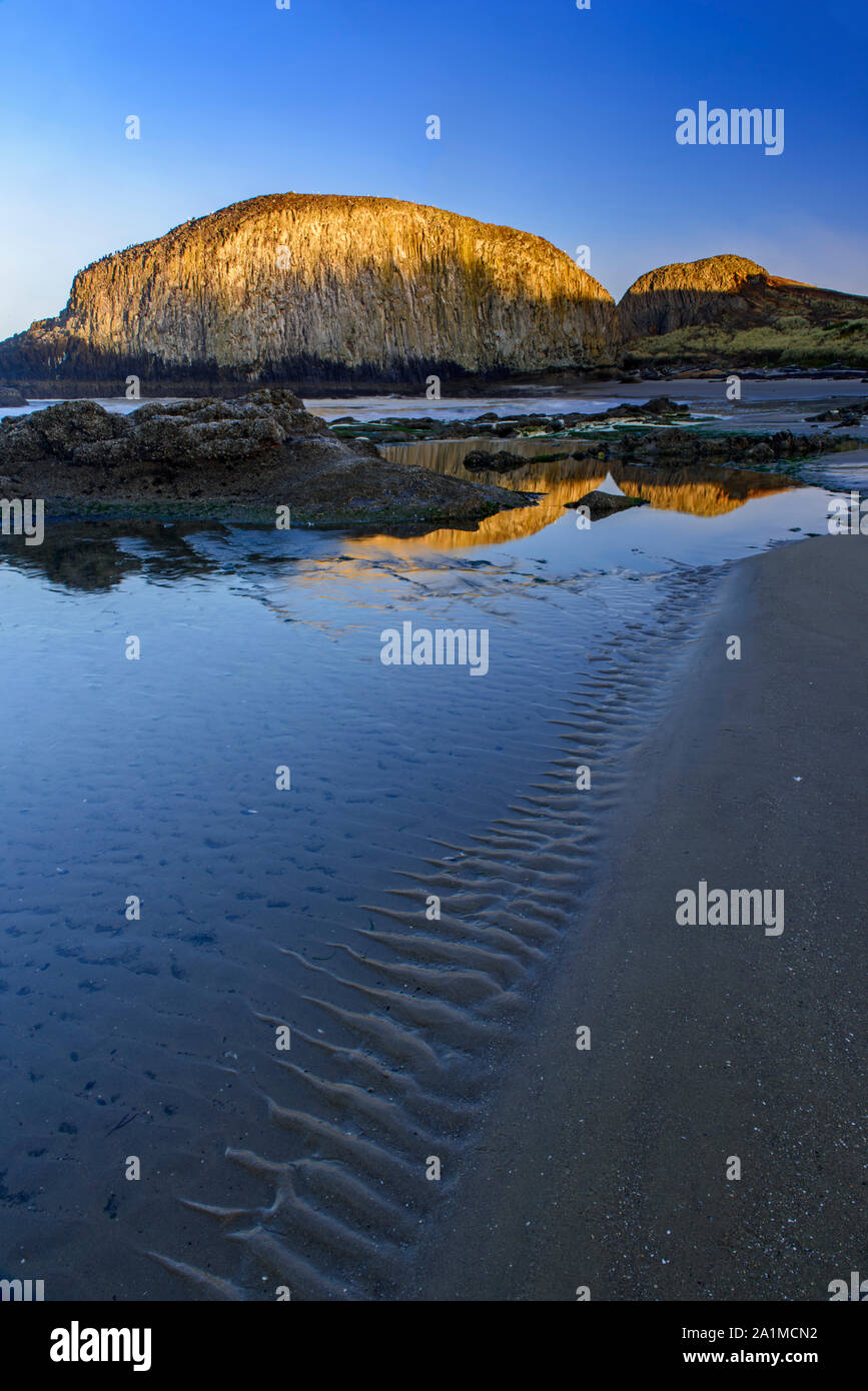 Seal Rocks beach at low tide, Seal Rock State Park, Oregon, USA Stock ...
