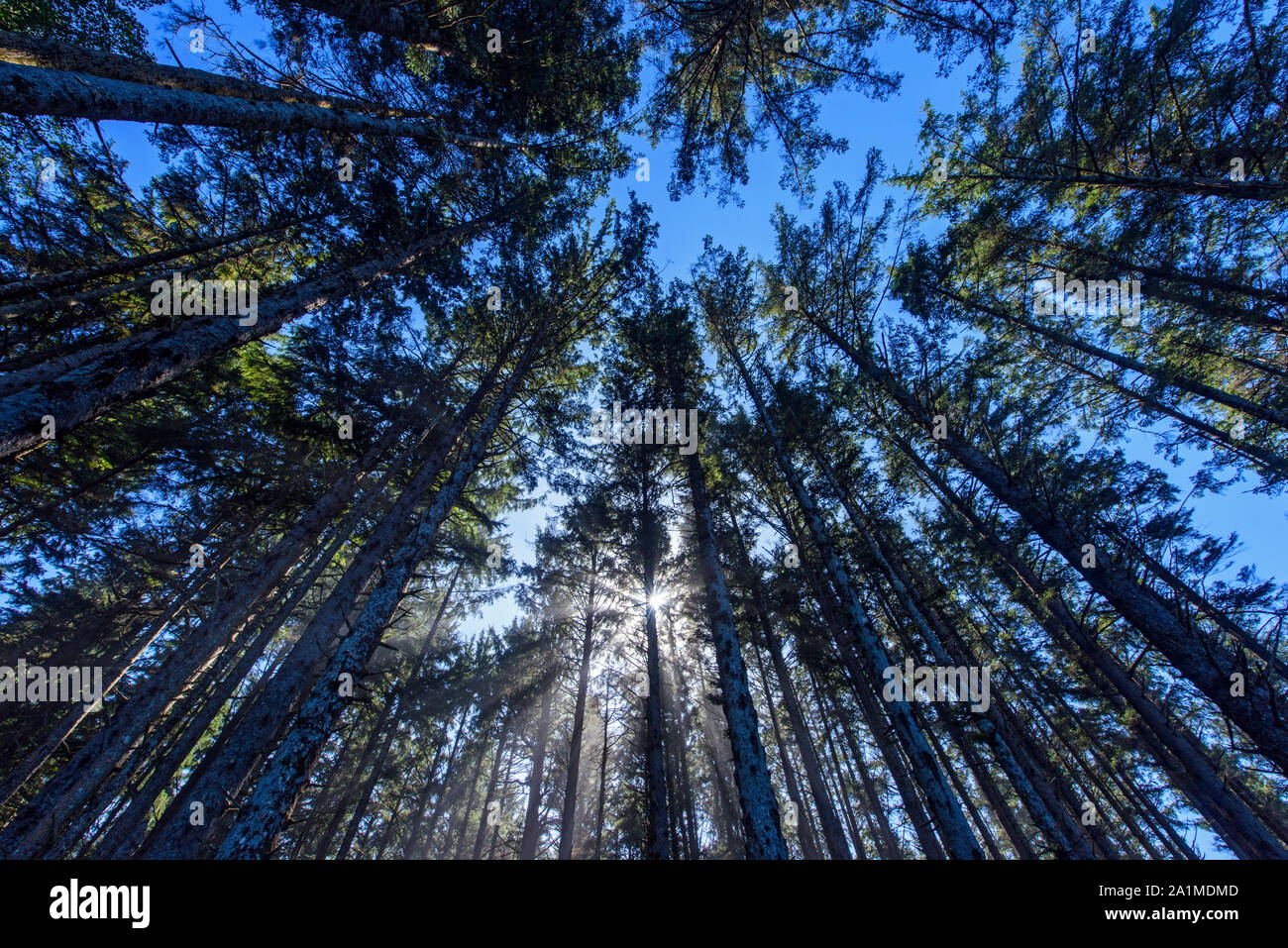 Biodiversity lookout hi-res stock photography and images - Alamy