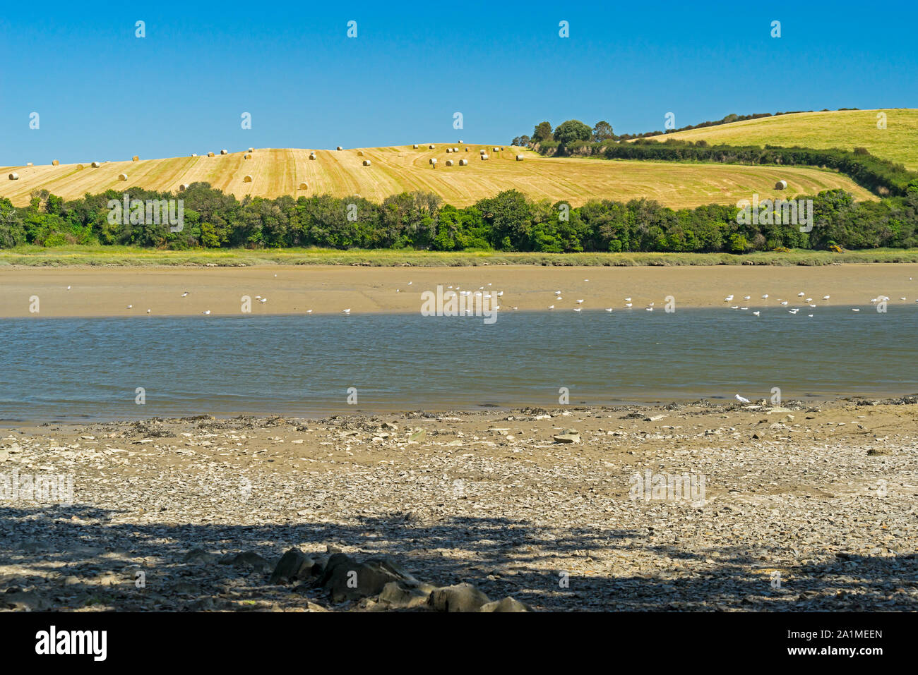 River Camel from the Camel Trail a popular multi use trail in Cornwall ...