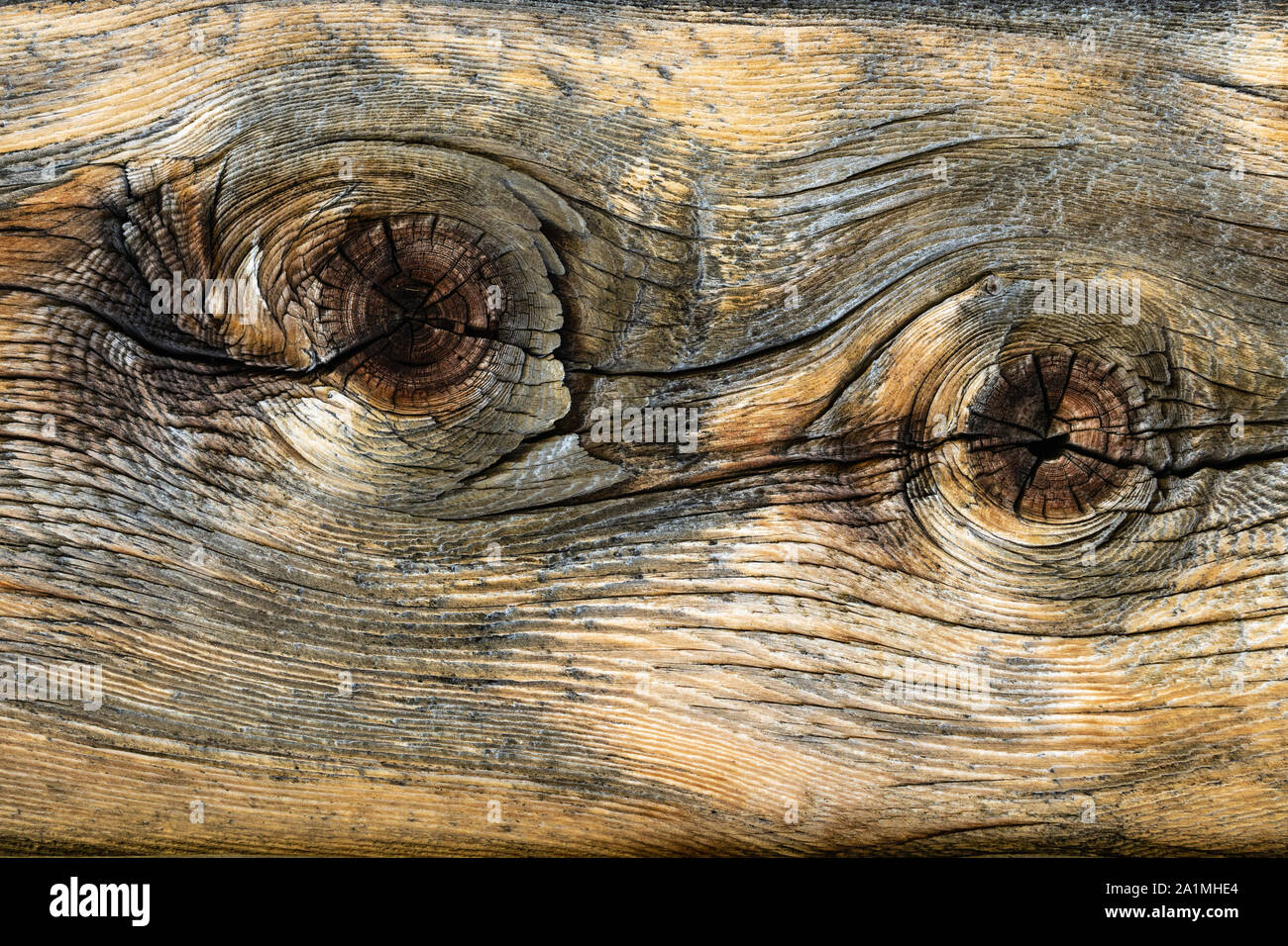 weathered gray and brown old barn plank of wood with knots texture ...
