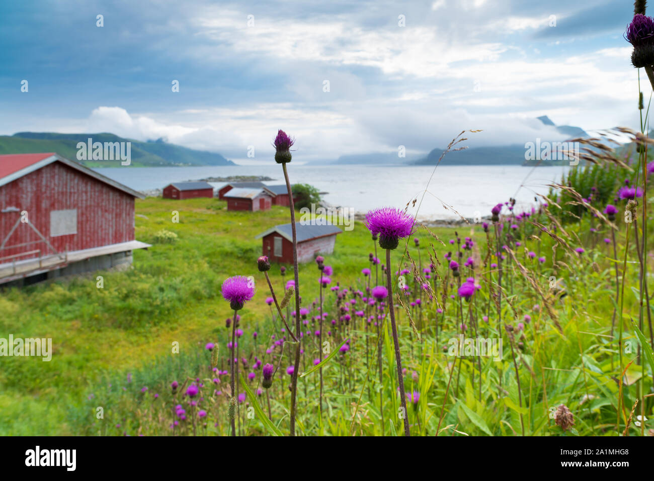 Traditional norwegian farmhouse hi-res stock photography and images - Alamy