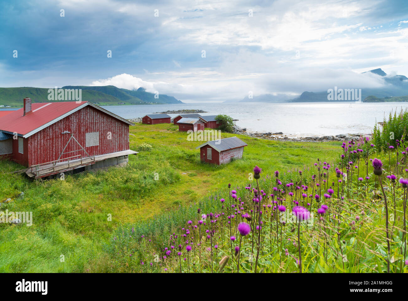 traditional red norwegian houses and sheds on the Lofoten islands Stock ...