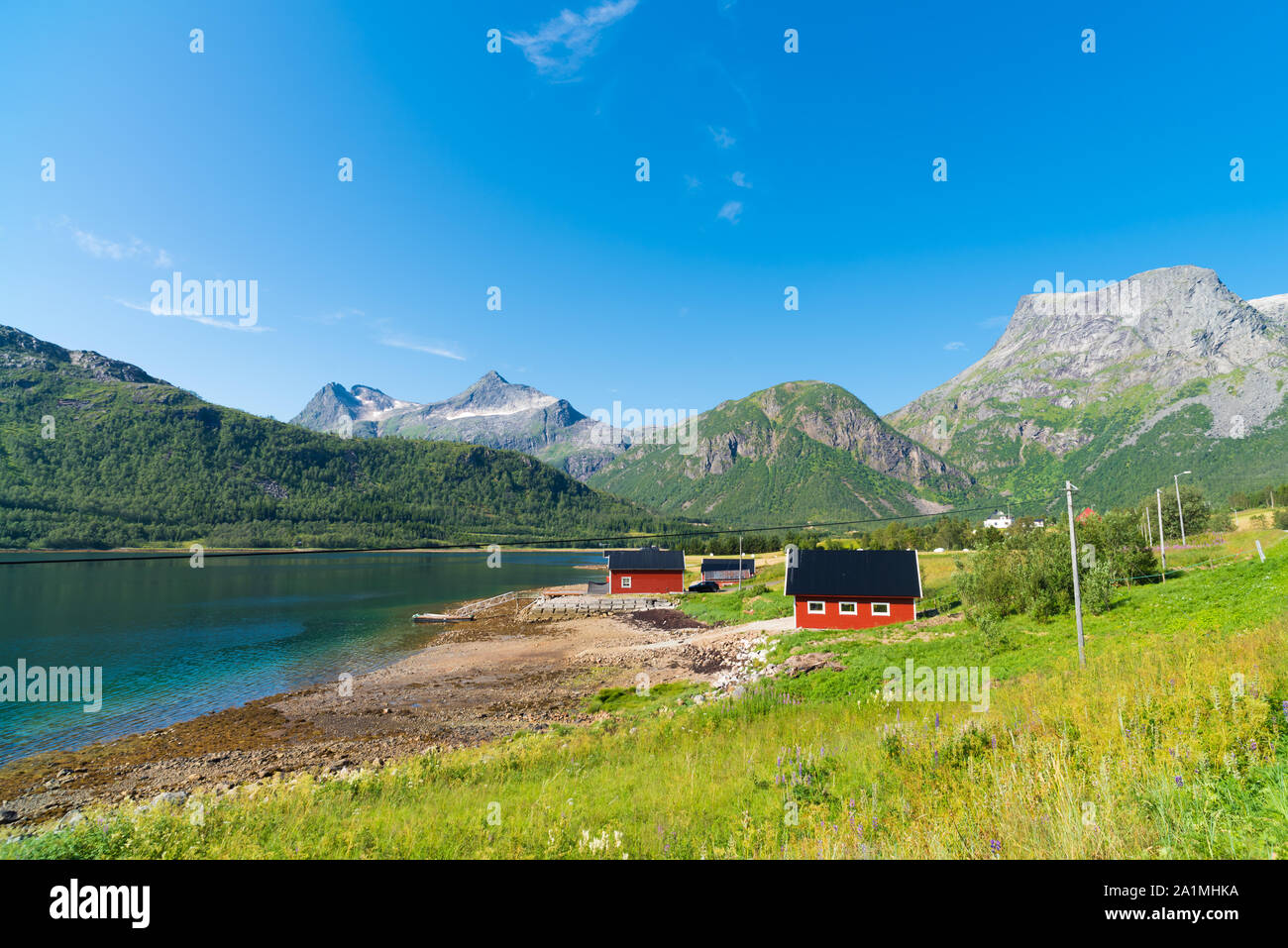 traditional red norwegian houses and sheds on the Lofoten islands Stock ...