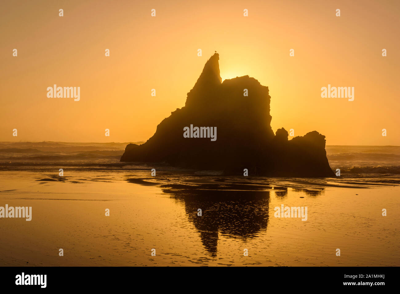 Arcadia beach state scenic area hi-res stock photography and images - Alamy