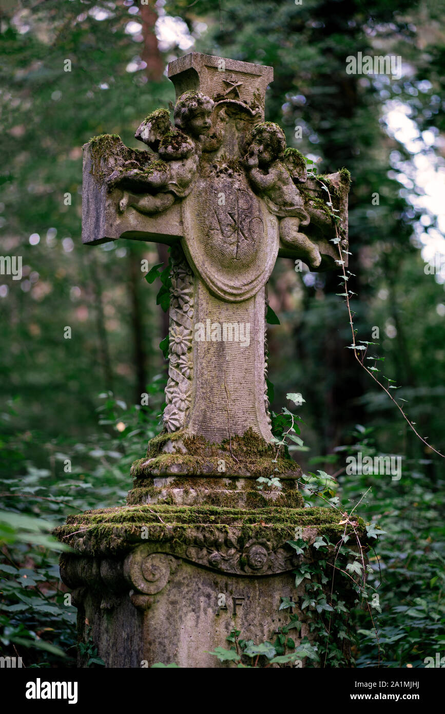 Stone cross monument decorated with two cherubs and covered with ivy on ...