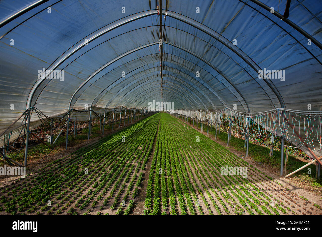 Food as houses hi-res stock photography and images - Alamy