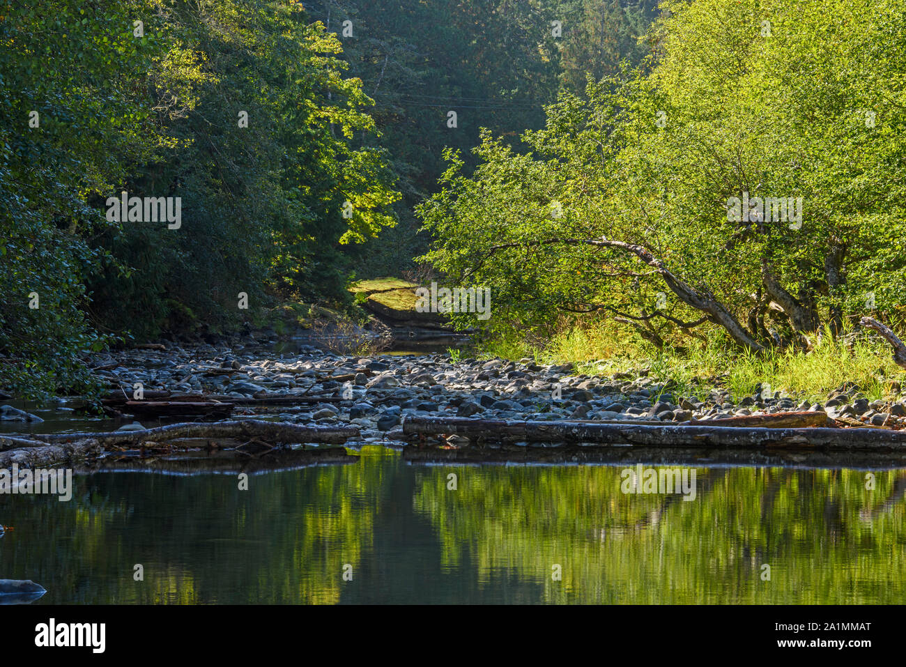 Sooke Potholes Provincial Park High Resolution Stock Photography and ...