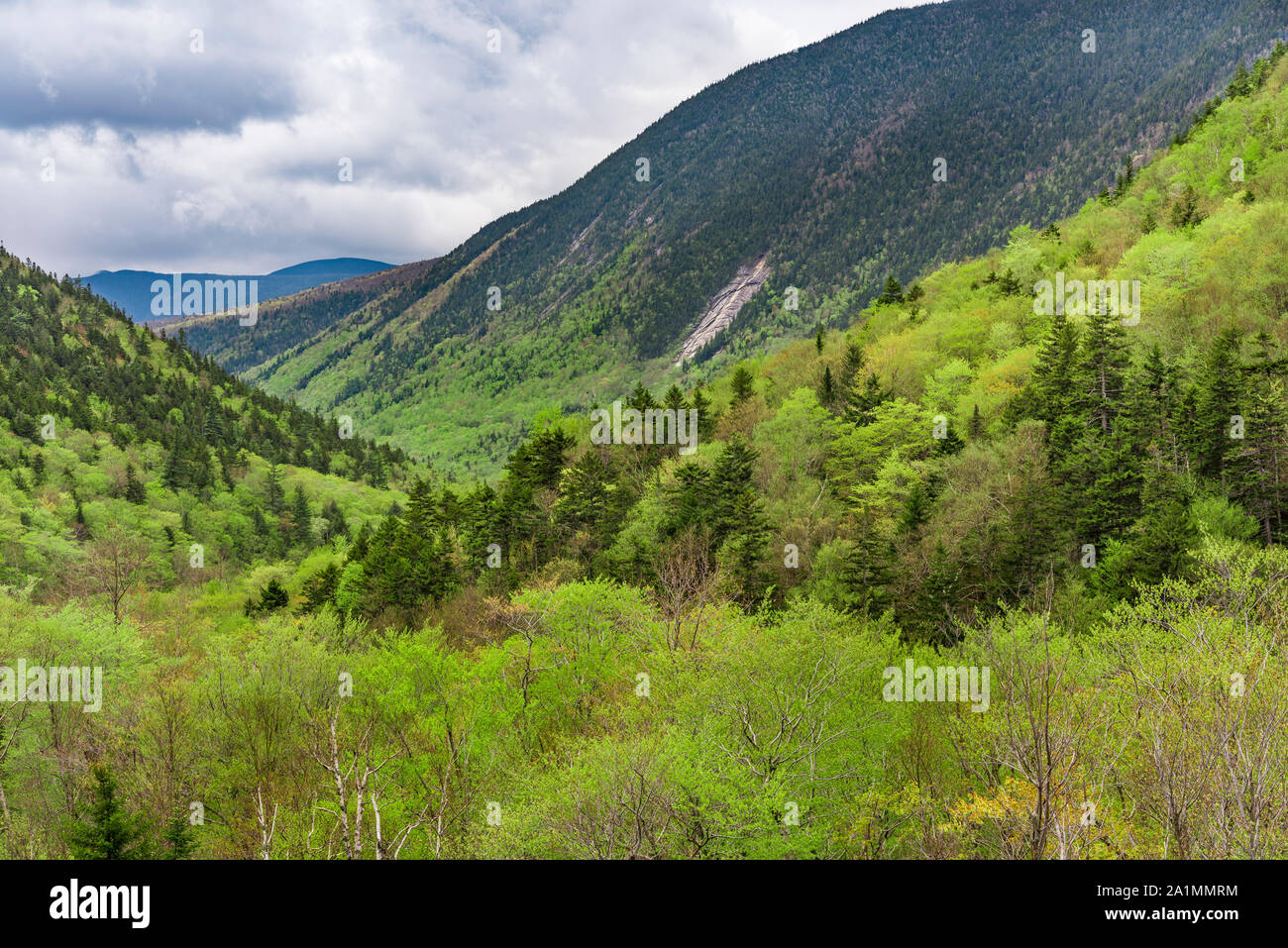 A look at the notch, White Mountain National Forest, Crawford Notch ...