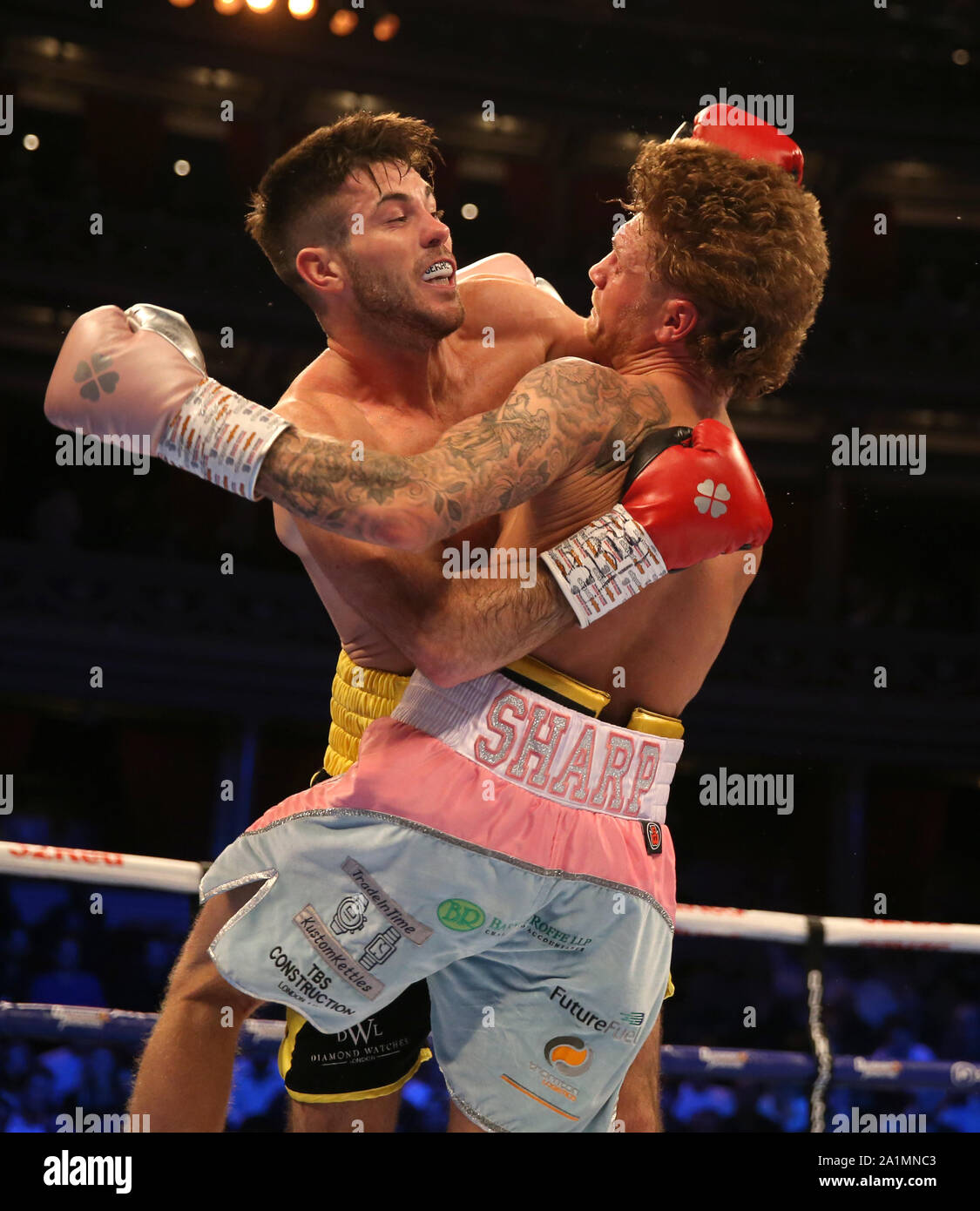 Wbo european super featherweight championship bout royal albert hall hi ...