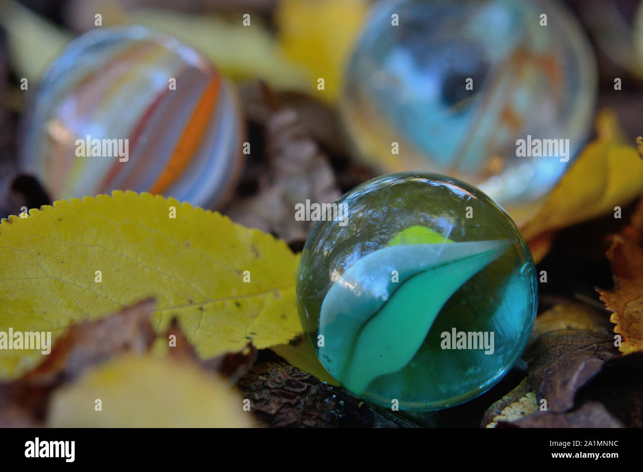 Glass marbles on the ground in fallen leaves Stock Photo - Alamy