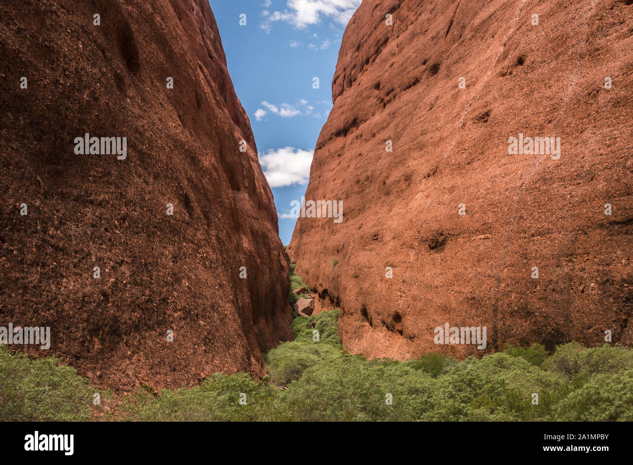 The Olgas, Uluru-Kata Tjuta National Park, Northern Territory Stock ...