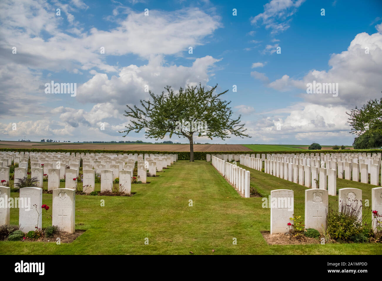 Graves of the many unknown soldiers at the WWI London Cemetery at ...